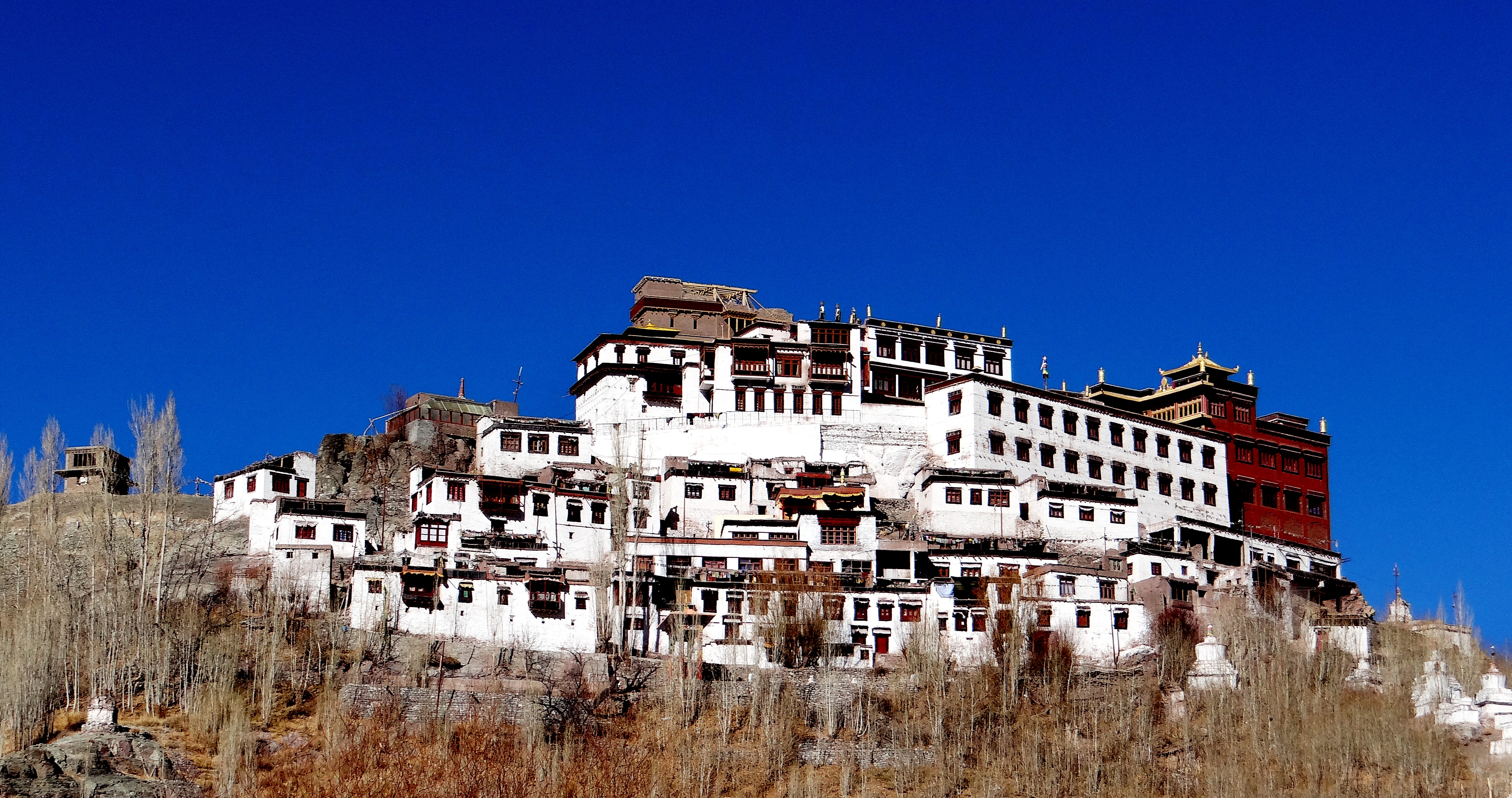 Snow Leopard Tour to Ladakh with Matho Festival, Ladakh Matho Festival ...